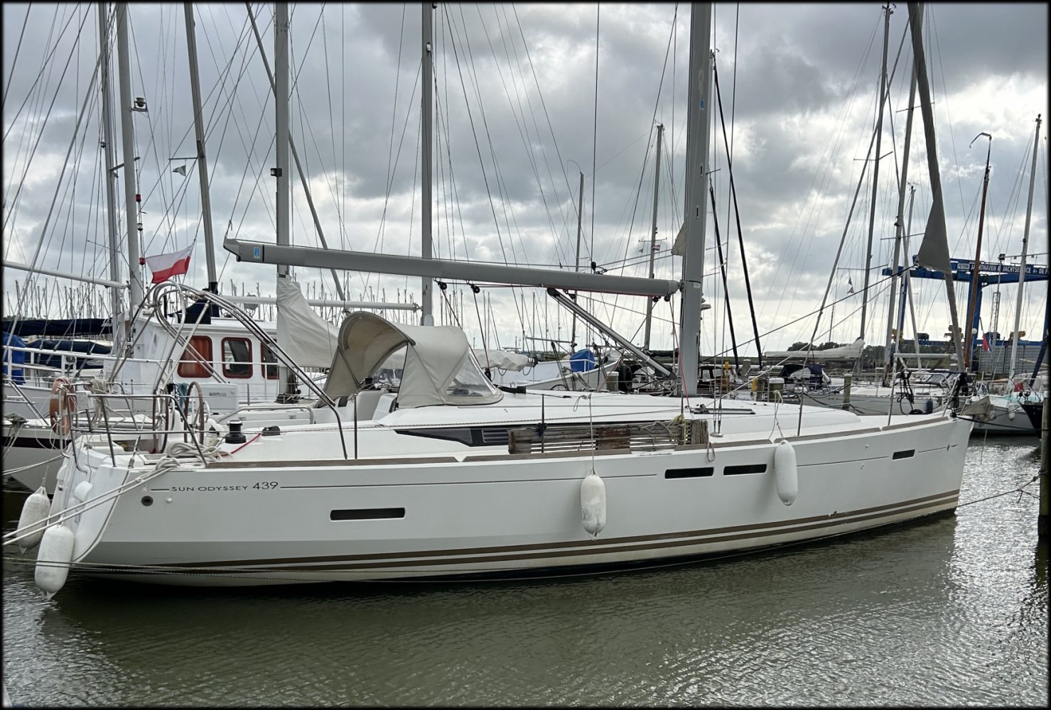 Jeanneau Sun Odyssey 439 for sale | White Whale Yachtbrokers