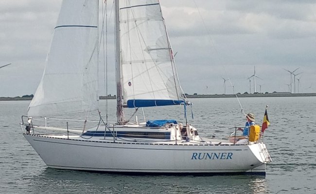 Bekijk het uitgebreide aanbod boten te koop | At Sea
